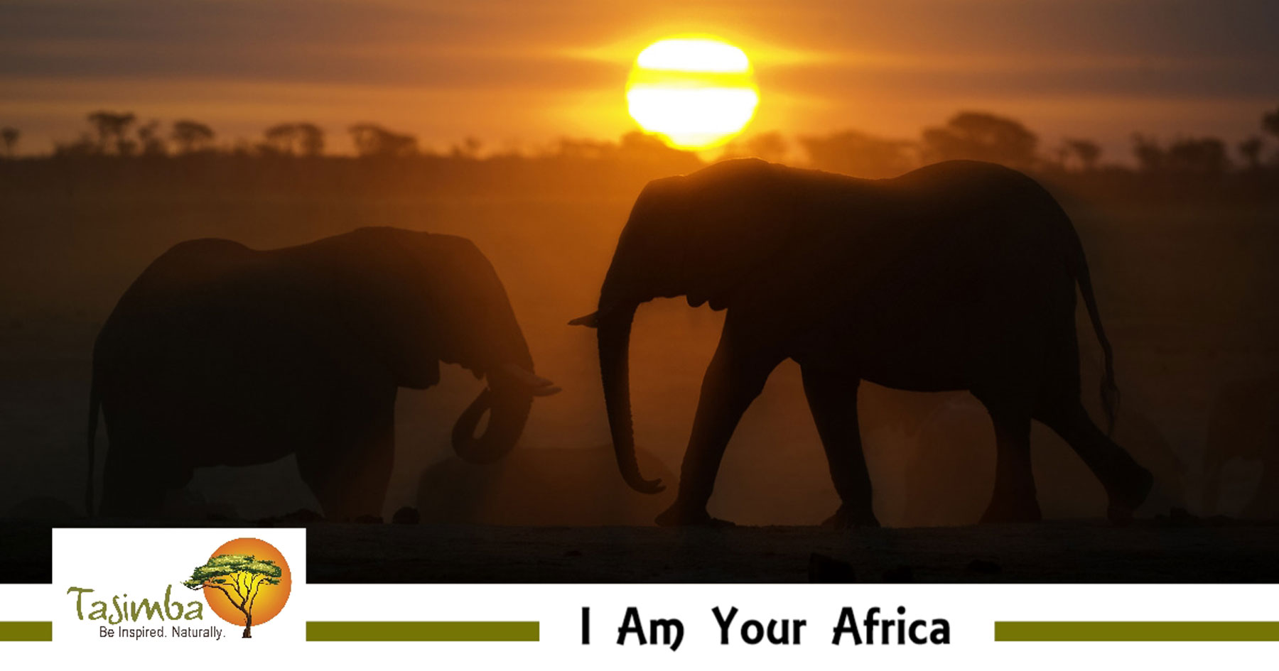 I Am Your Africa - Tasimba African Safari Experience